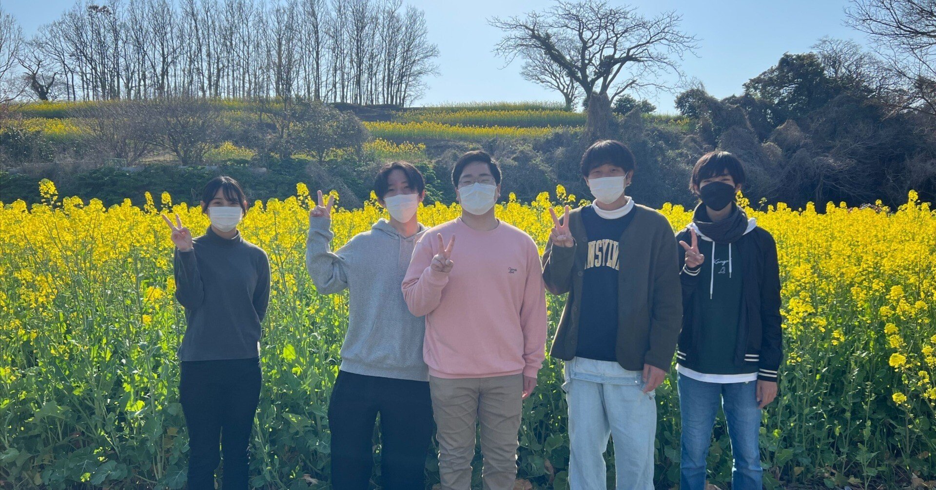 菜の花が咲き誇る豊後高田市で菜の花マーケット2023を実施しました！ | 株式会社FoundingBase