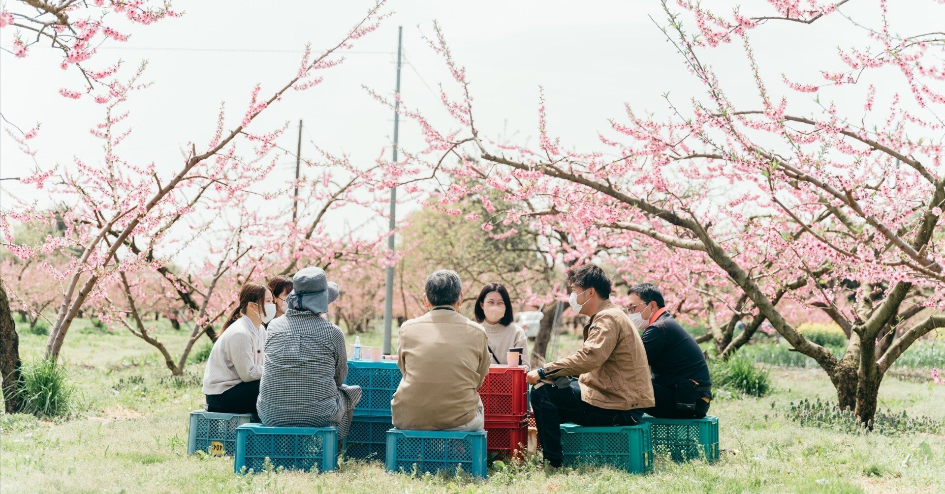 国見町で桃とりんごのお花見会を実施しました！／オーナー制度2023 | 株式会社FoundingBase